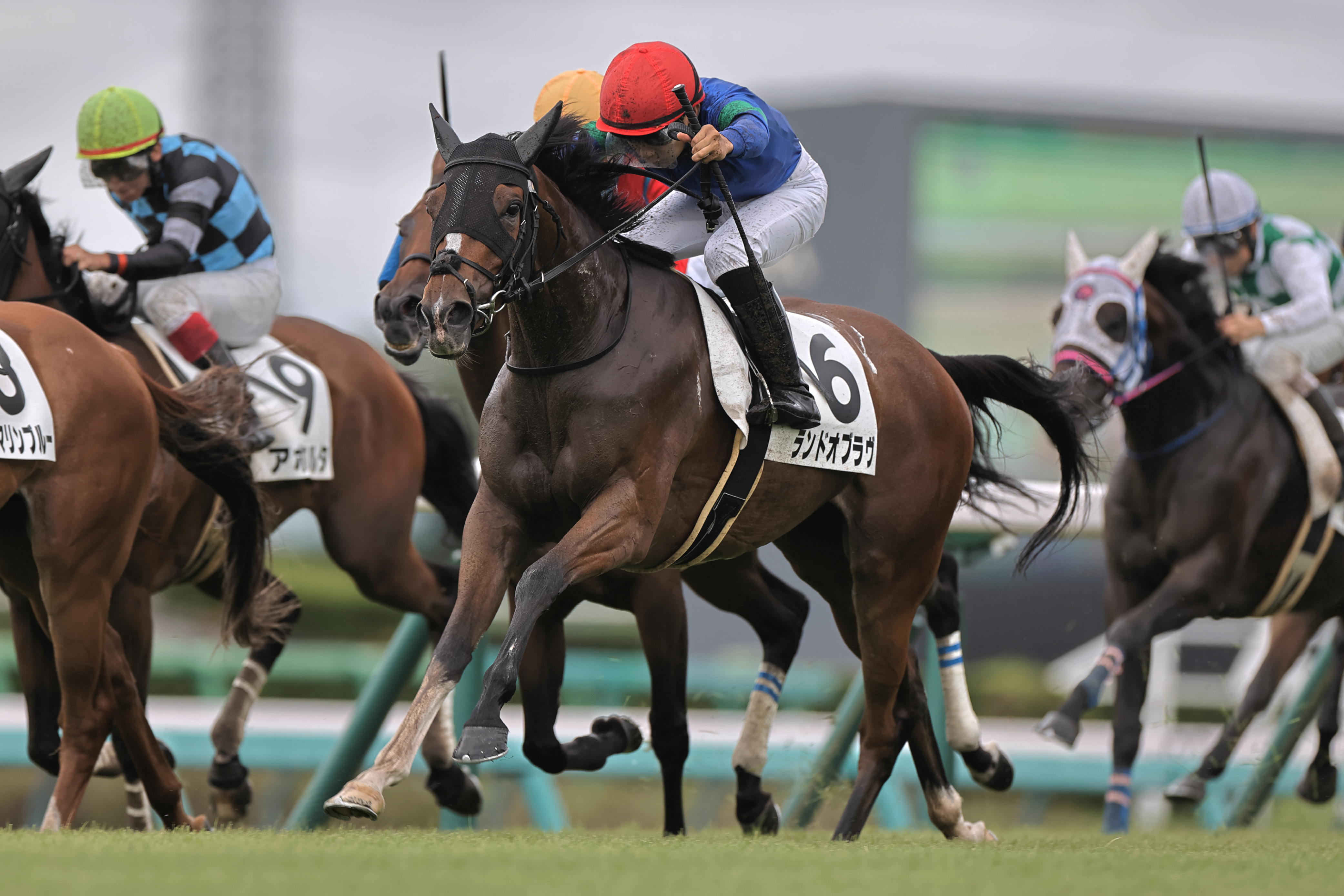 Online Racing Salon Vol. 32 Hiroo no Reiwa 佐々木大輔騎手と父、佐々木助手と共に｜広尾サラブレッド倶楽部